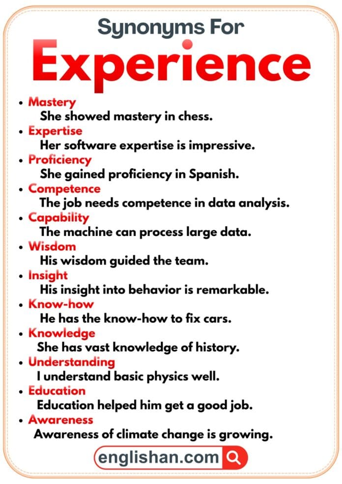 Synonyms for Experience: 100+ Useful Words With Examples