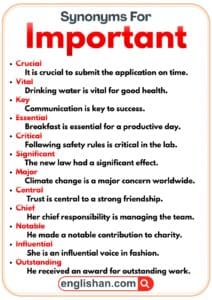 230+ Synonyms for Important with Meanings and Examples