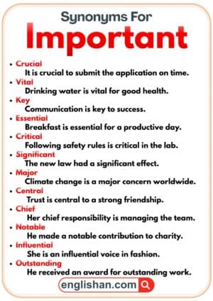 230+ Synonyms for Important with Meanings and Examples