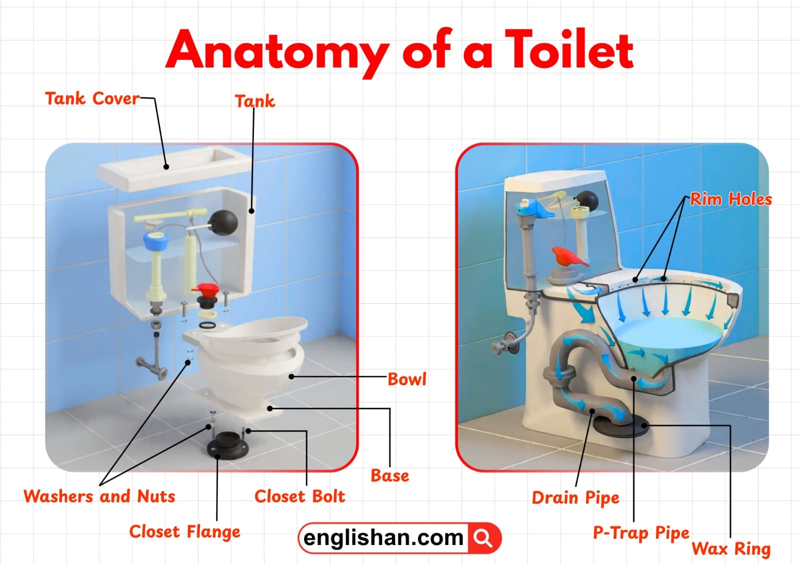 Parts of a Toilet with Labeled Diagram – Complete Guide
