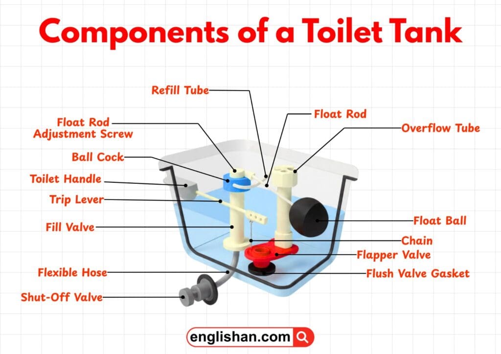 Parts of a Toilet with Labeled Diagram – Complete Guide