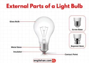 Parts of a Light Bulb Explained with Label Diagram