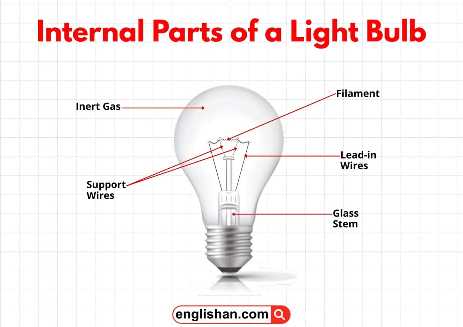 Parts of a Light Bulb Explained with Label Diagram