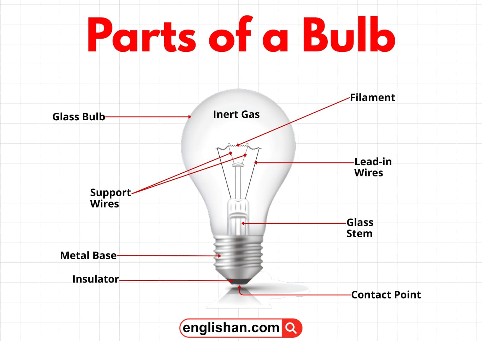 Parts of a Light Bulb Explained with Label Diagram