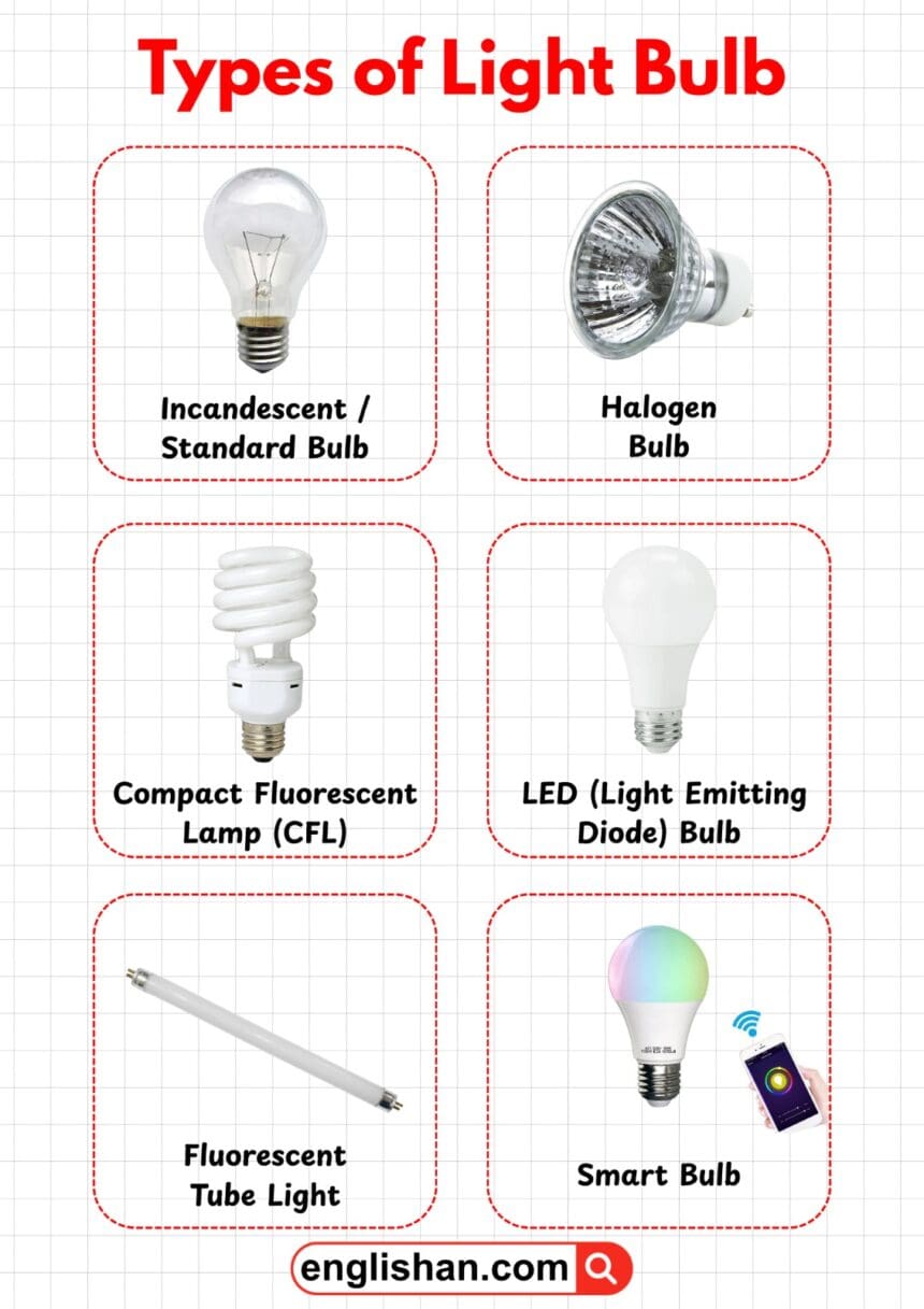 Parts of a Light Bulb Explained with Label Diagram