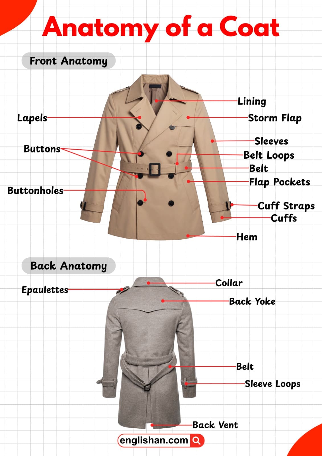 Parts of a Coat: Complete Guide to Coat Anatomy with Names