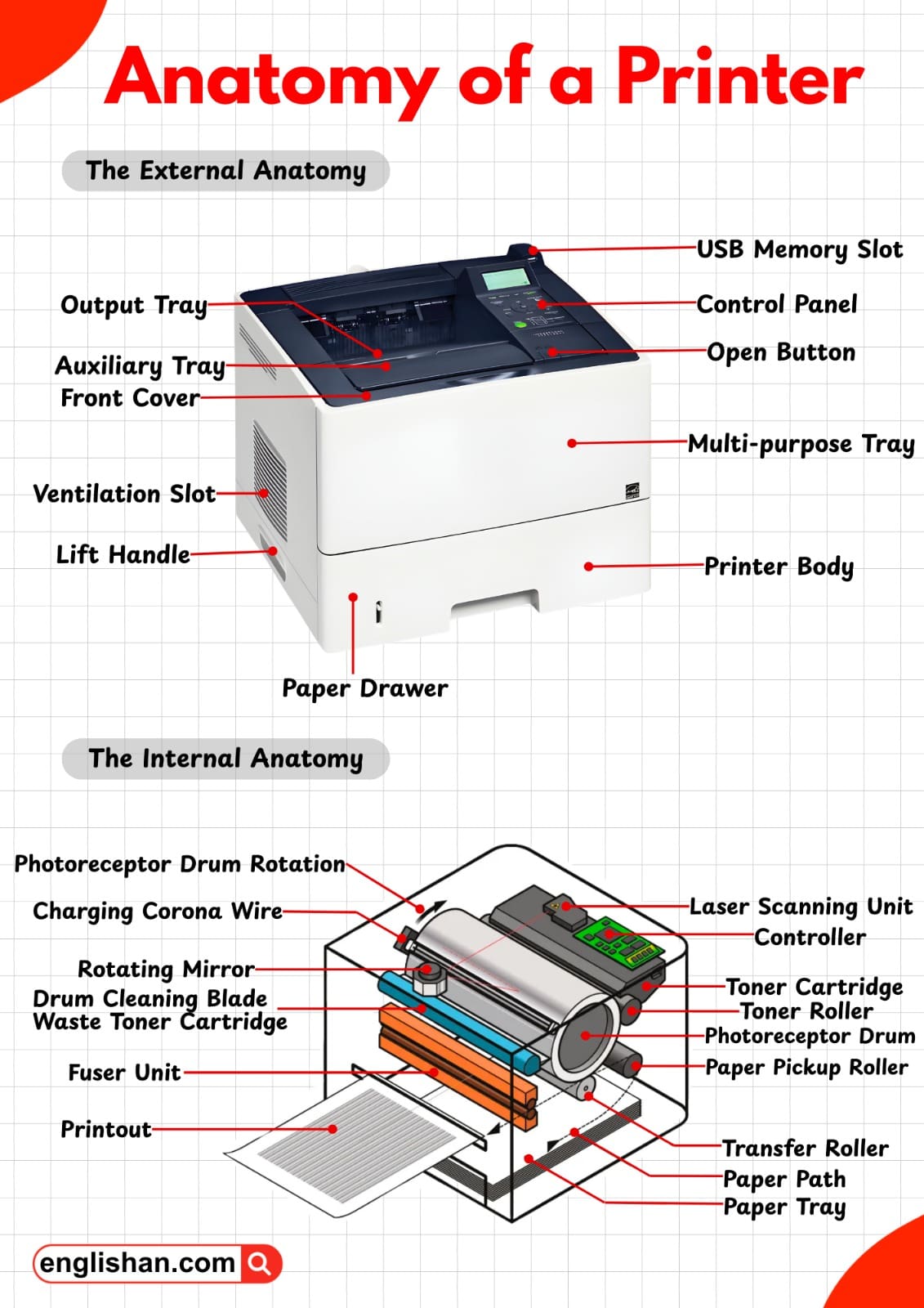Parts of a Printer: Complete Guide with Functions and Diagram
