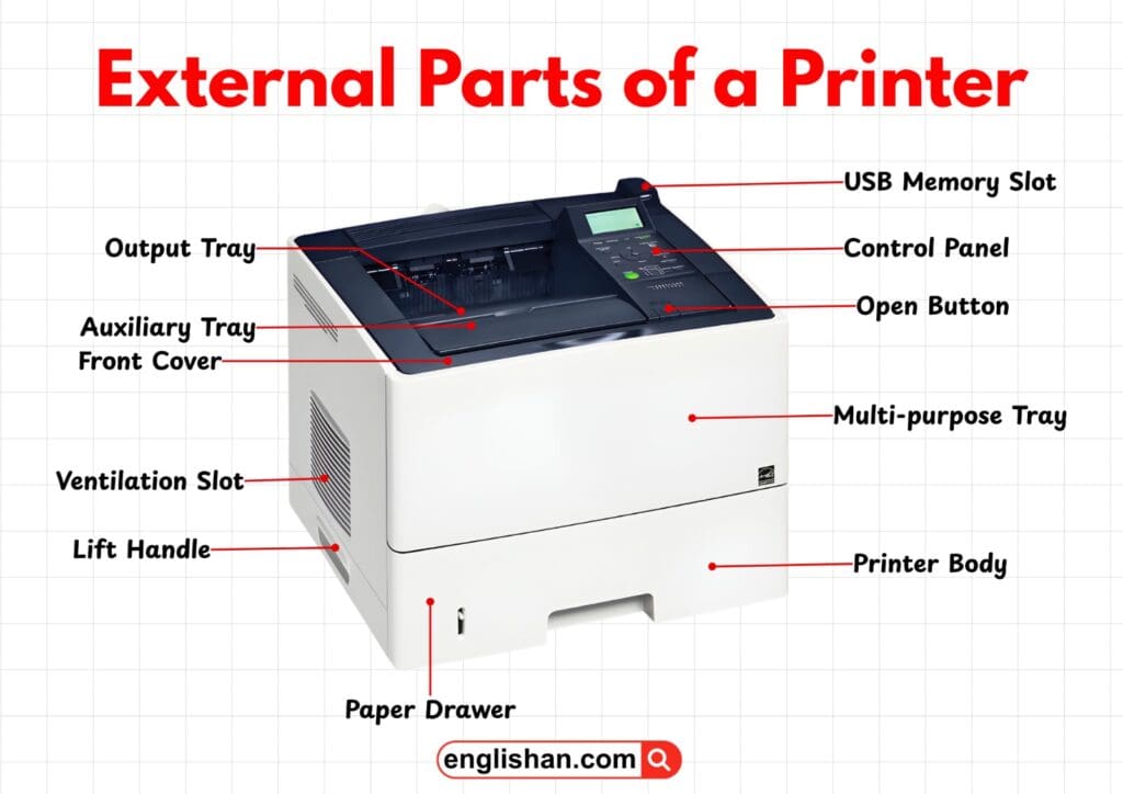 Parts of a Printer: Complete Guide with Functions and Diagram