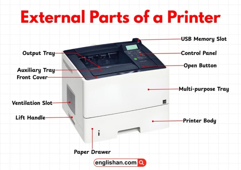 Parts of a Printer: Complete Guide with Functions and Diagram