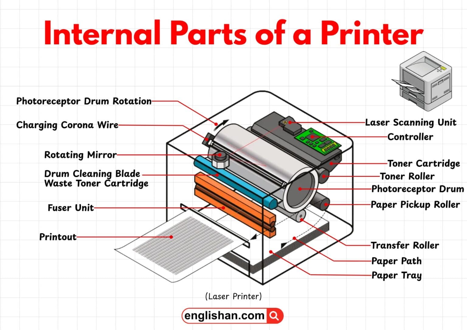 Parts of a Printer: Complete Guide with Functions and Diagram