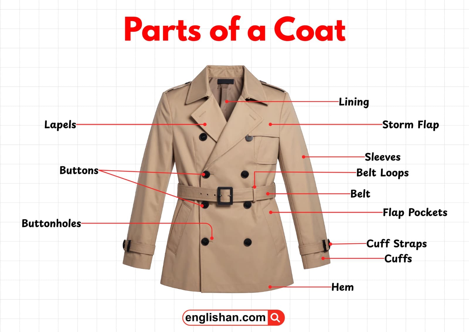 Parts of a Coat: Complete Guide to Coat Anatomy with Names