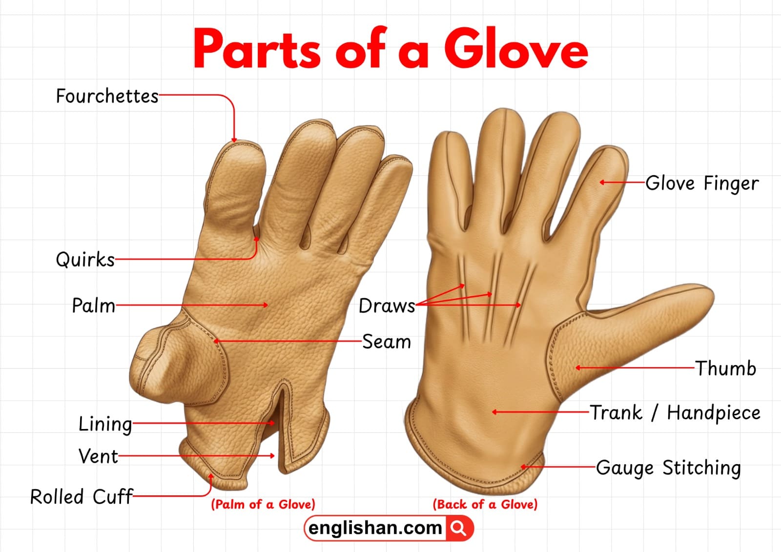 Parts of a Glove: Complete Guide with Names and Diagram
