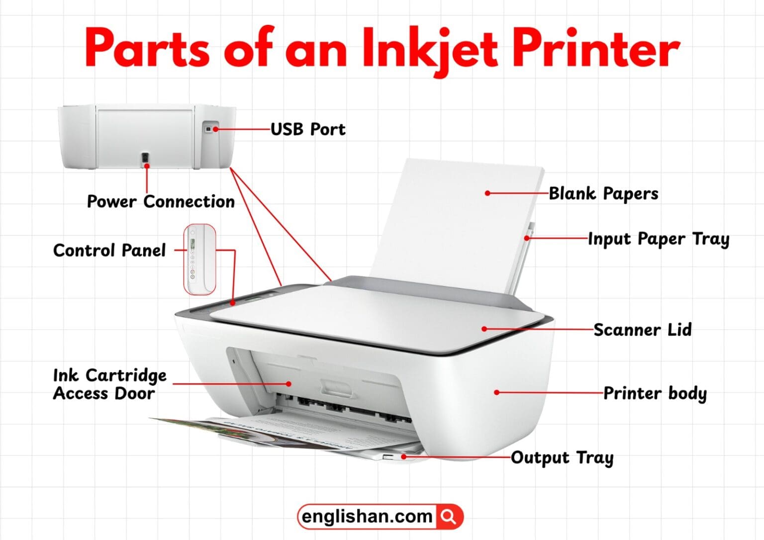 Parts of a Printer: Complete Guide with Functions and Diagram